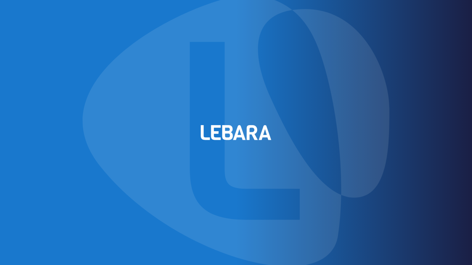Quick Guide: How to Check Your Lebara Balance - Newswala